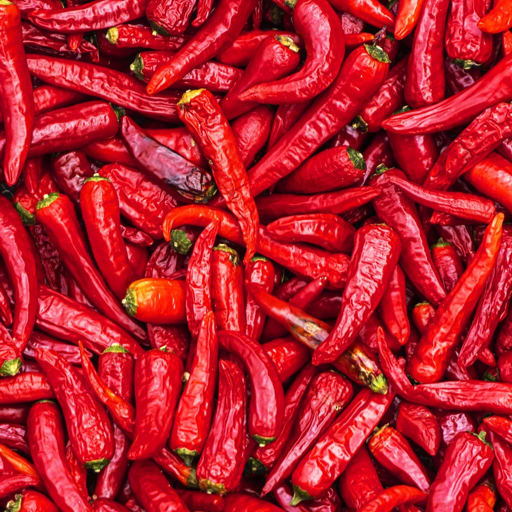 How to get red-hot leads while you sleep - Integris Design® Web Design ...